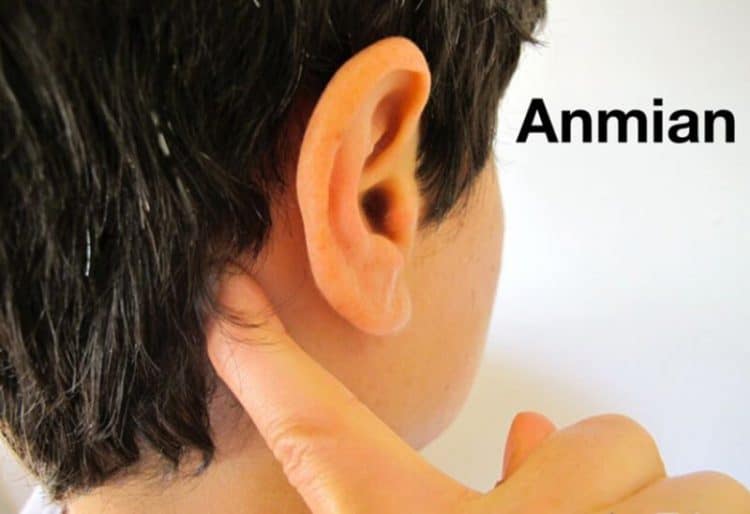 Pressure Points For Sleep? | Acupressure Aid For Sleeping